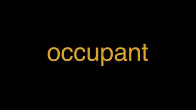 Meaning of Occupant in Hindi - हिंदी में मतलब | Wrytin