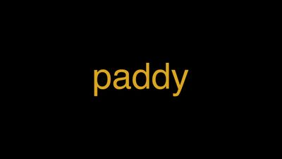 Meaning of Paddy in Hindi - हिंदी में मतलब | Wrytin