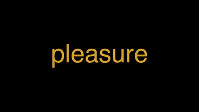 Meaning of Pleasure in Hindi - हिंदी में मतलब | Wrytin