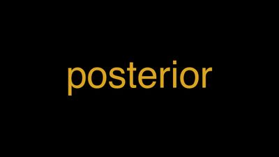 Meaning of Posterior in Hindi - हिंदी में मतलब | Wrytin