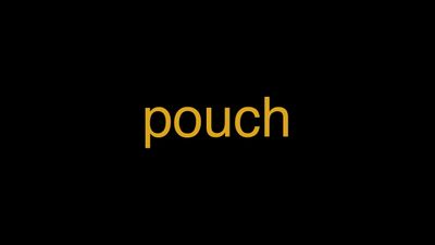 Meaning of Pouch in Hindi - हिंदी में मतलब | Wrytin