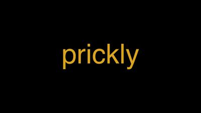 Meaning of Prickly in Hindi - हिंदी में मतलब | Wrytin