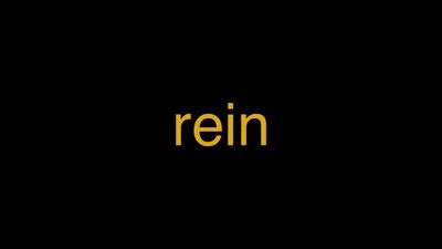 Meaning of Rein in Hindi - हिंदी में मतलब | Wrytin