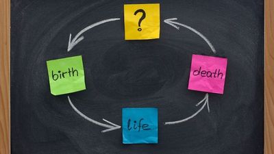 Secrect Facts About Reincarnation | Wrytin