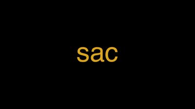 Meaning of Sac in Hindi - हिंदी में मतलब | Wrytin