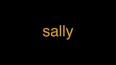 Meaning of Sally in Hindi - हिंदी में मतलब | Wrytin