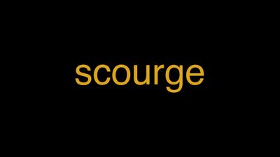 Meaning of Scourge in Hindi - हिंदी में मतलब | Wrytin