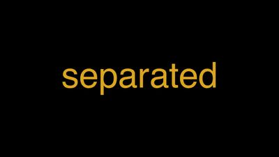Meaning of Separated in Hindi - हिंदी में मतलब | Wrytin