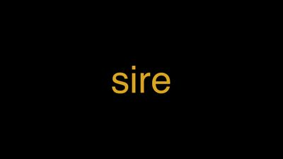 Meaning of Sire in Hindi - हिंदी में मतलब | Wrytin