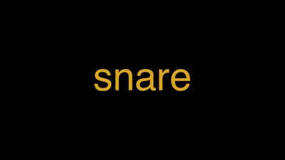 Meaning of Snare in Hindi - हिंदी में मतलब | Wrytin