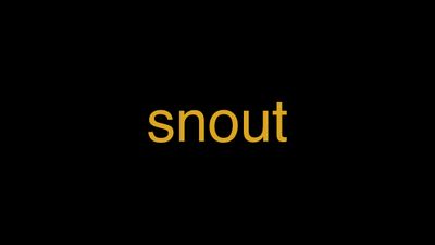 Meaning of Snout in Hindi - हिंदी में मतलब | Wrytin