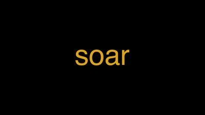Meaning of Soar in Hindi - हिंदी में मतलब | Wrytin