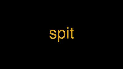 Meaning of Spit in Hindi - हिंदी में मतलब | Wrytin