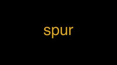 Meaning of Spur in Hindi - हिंदी में मतलब | Wrytin