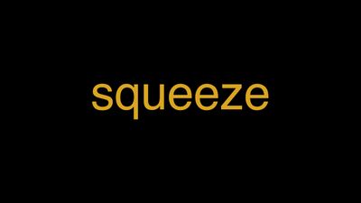 Meaning of Squeeze in Hindi - हिंदी में मतलब | Wrytin