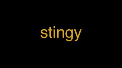 Meaning of Stingy in Hindi - हिंदी में मतलब | Wrytin