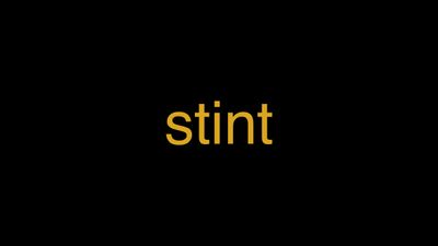 Meaning of Stint in Hindi - हिंदी में मतलब | Wrytin