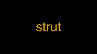 Meaning of Strut in Hindi - हिंदी में मतलब | Wrytin