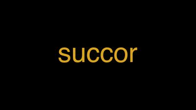Meaning of Succor in Hindi - हिंदी में मतलब | Wrytin