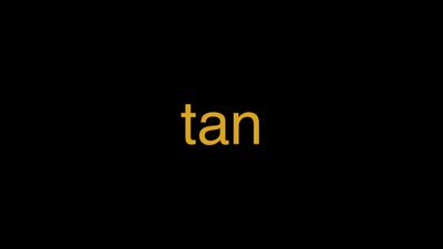 Meaning of Tan in Hindi - हिंदी में मतलब | Wrytin