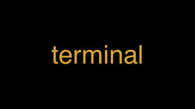 Meaning of Terminal in Hindi - हिंदी में मतलब | Wrytin