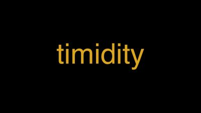 Meaning of Timidity in Hindi - हिंदी में मतलब | Wrytin