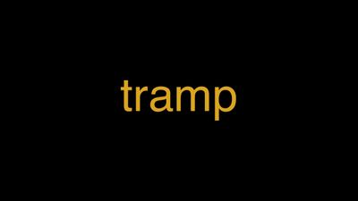 Meaning of Tramp in Hindi - हिंदी में मतलब | Wrytin