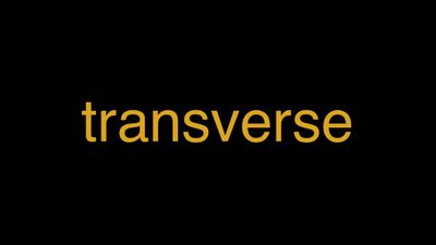 Meaning of Transverse in Hindi - हिंदी में मतलब | Wrytin