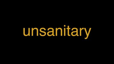 Meaning of Unsanitary in Hindi - हिंदी में मतलब | Wrytin