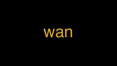 Meaning of Wan in Hindi - हिंदी में मतलब | Wrytin