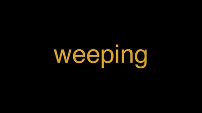 Meaning of Weeping in Hindi - हिंदी में मतलब | Wrytin