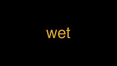 Meaning of Wet in Hindi - हिंदी में मतलब | Wrytin