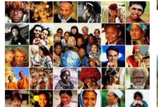 Cultural Anthropology | Wrytin